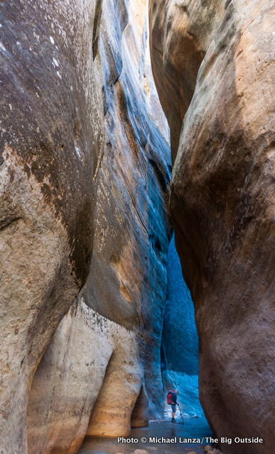 The Best Backpacking Trips in Zion National Park - The Big Outside