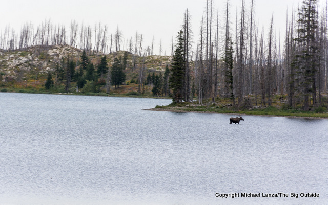 Photo Gallery: Backpacking the CDT Through Glacier National Park - The ...