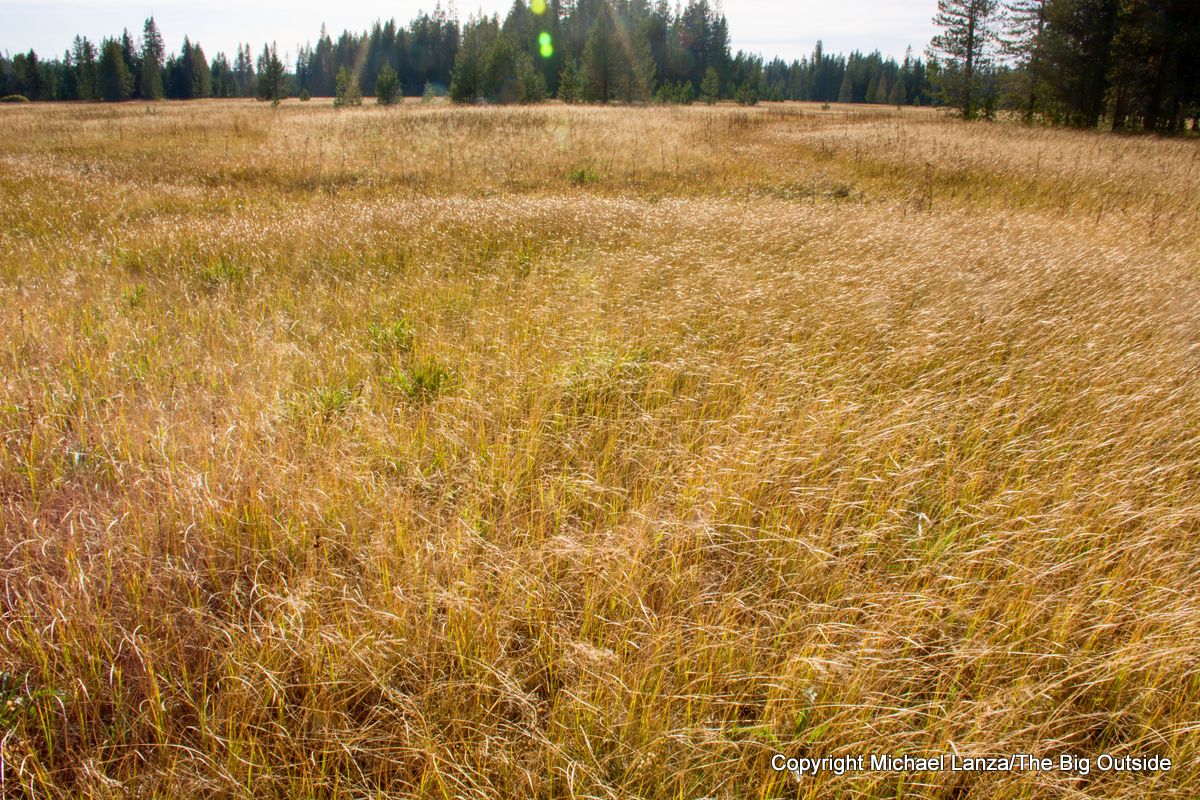 In Hot (and Cold) Water: Backpacking Yellowstone’s Bechler Canyon - The ...