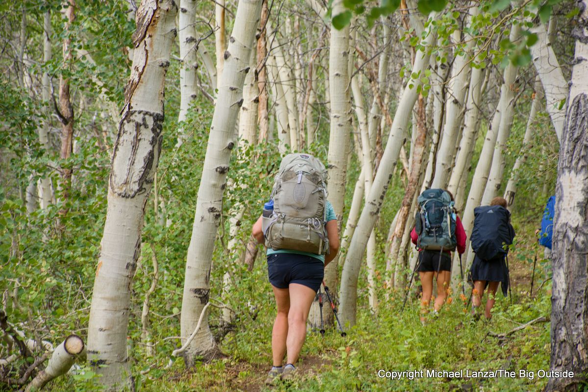 Backpacking the Ruby Crest Trail—A Diamond in the Rough - The Big Outside