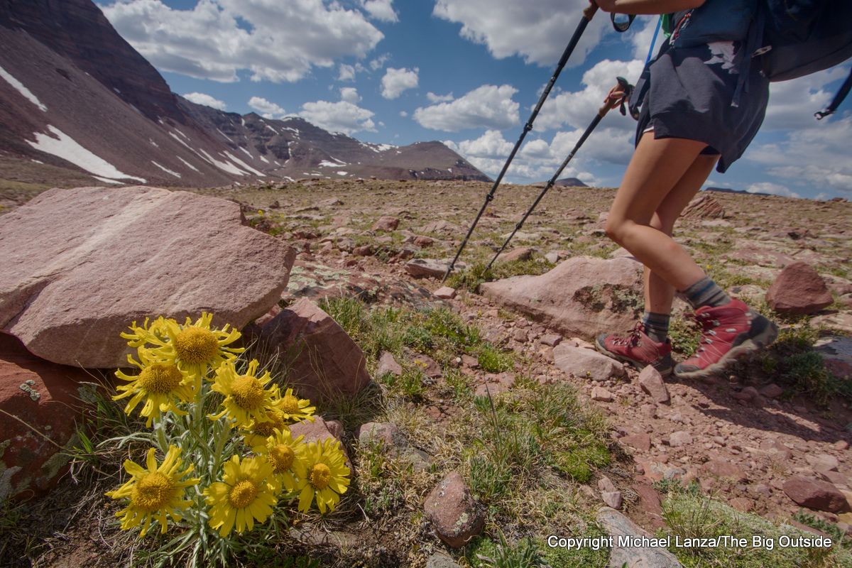 Tall and Lonely: Backpacking Utah’s High Uintas Wilderness - The Big ...